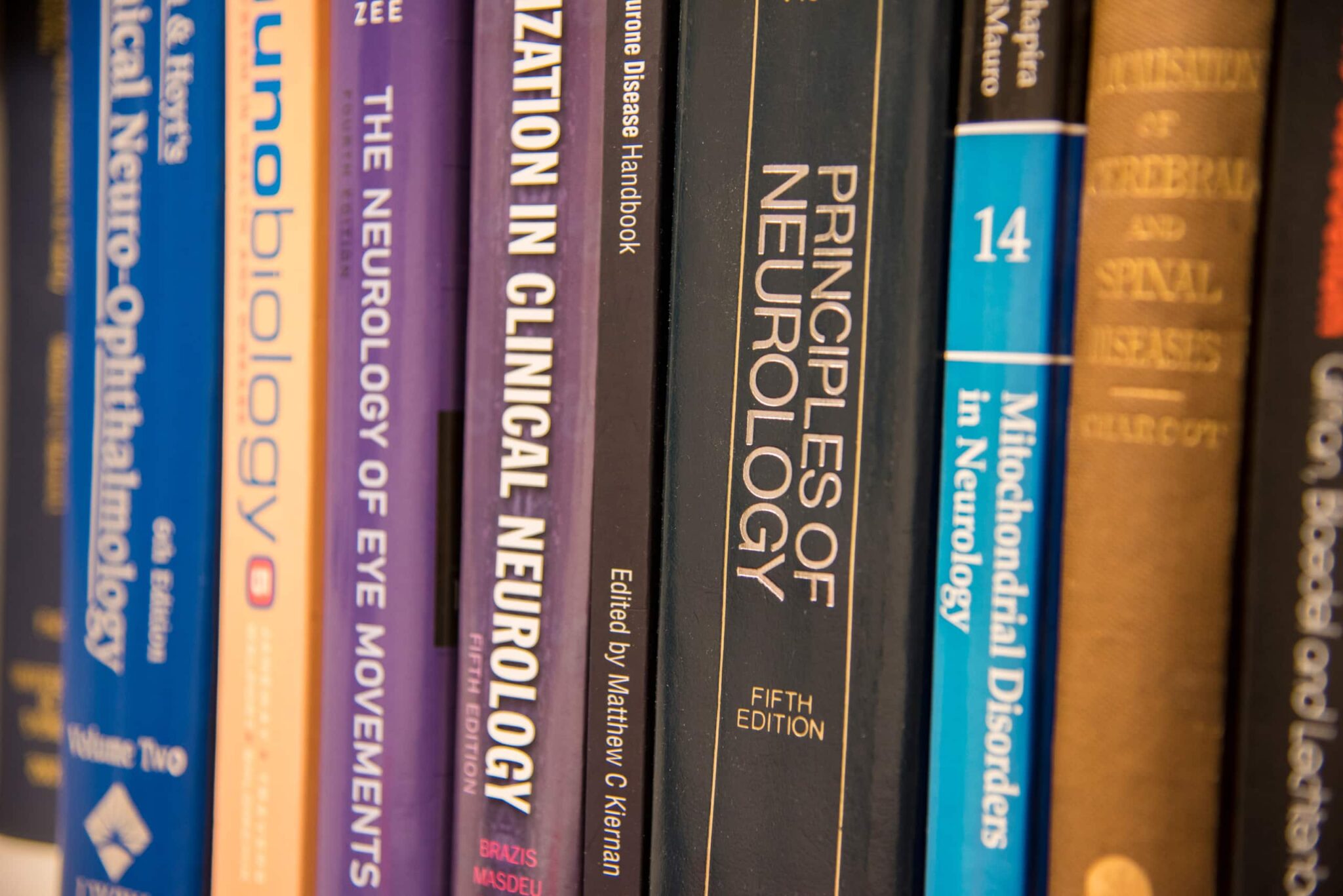 Services - Sydney Neurology